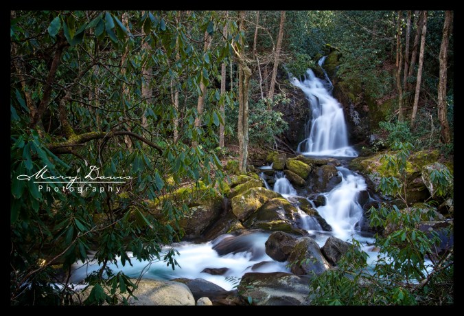 Nature | Mary Davis Photography