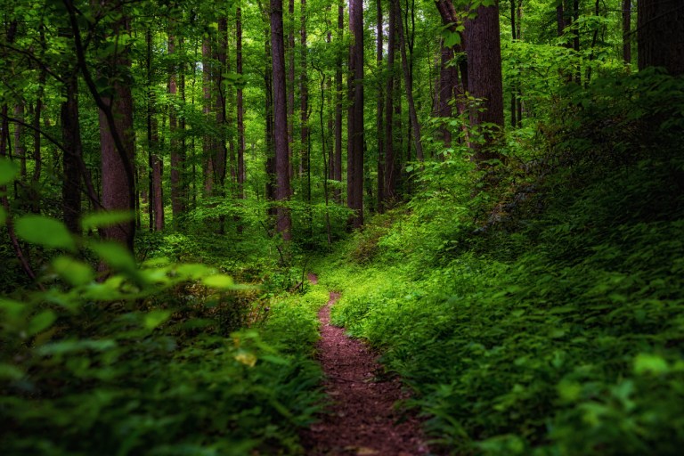 Nature | Mary Davis Photography