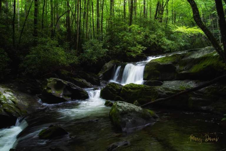Nature | Mary Davis Photography
