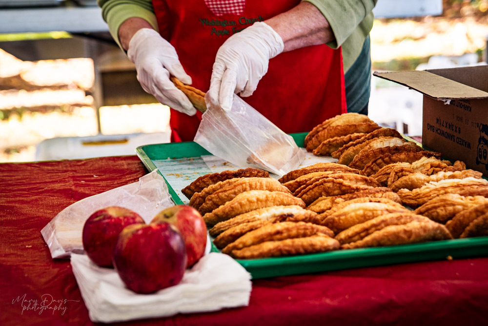 2023 Fall Apple Festival | Mary Davis Photography