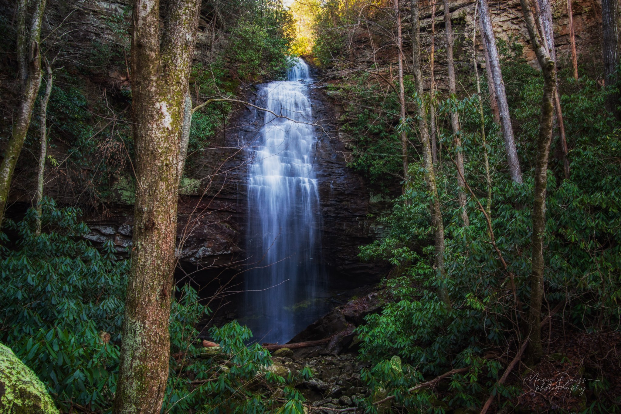 Nature | Mary Davis Photography